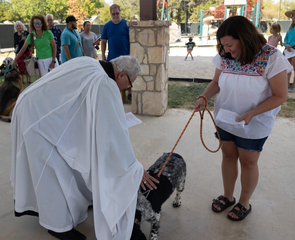 Photo gallery: Blessing of the Animals at St. Peter's Episcopal Church ...
