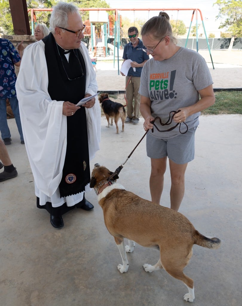 Photo gallery: Blessing of the Animals at St. Peter's Episcopal Church ...