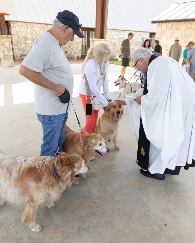 Photo gallery: Blessing of the Animals at St. Peter's Episcopal Church ...