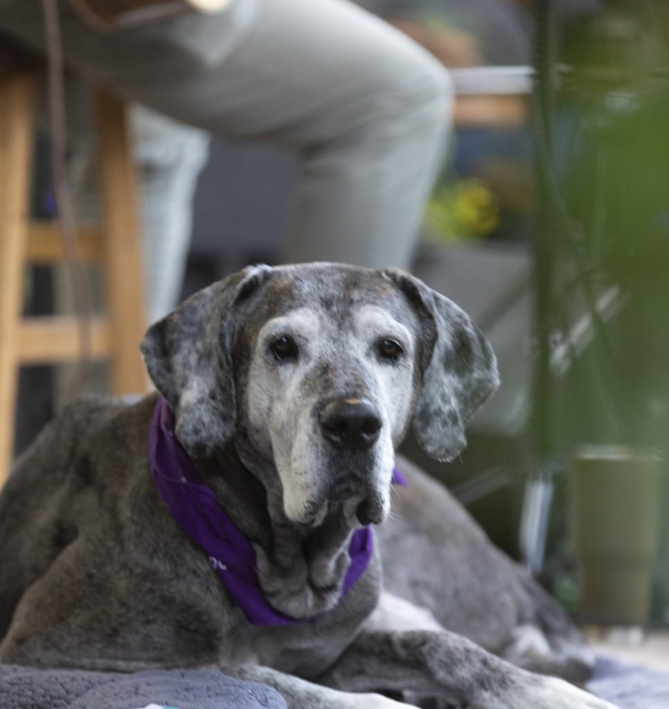 Photo gallery: Aaron Lacombe at Pint and Plow – The Kerr County Lead